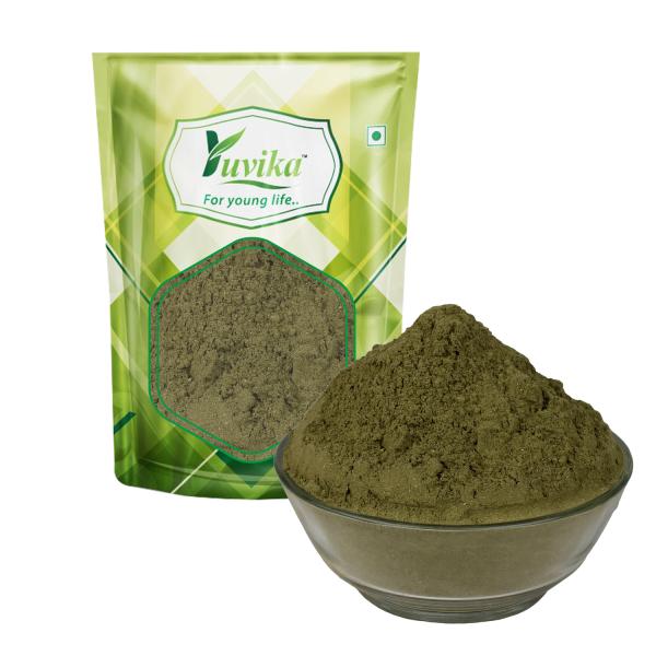 YUVIKA Podina Powder - Pudina - Mentha Arvensis Linn - Mint Leaves (100 ...