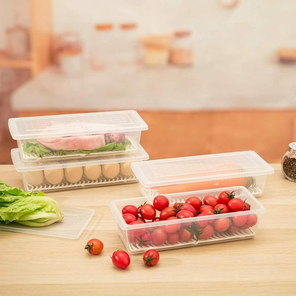 Nopex Plastic Storage Containers for Refrigerator Plastic Fridge ...