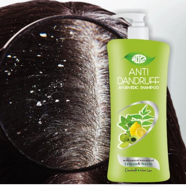 MEGHDOOT AYURVEDIC ANTI DANDRUFF SHAMPOO 500ML (PACK OF 2) - JioMart