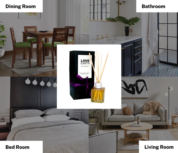 Love Earth Premium Reed Diffuser Jasmine Long Lasting Fragrance - JioMart