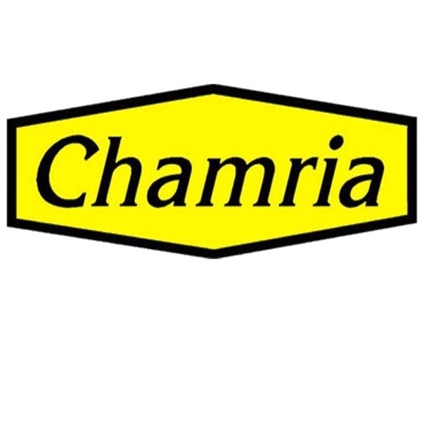 CHAMRIA CHHUHARA PACHAK (SOUR) 150GMS X 2 PACKS OF CHURAN - JioMart