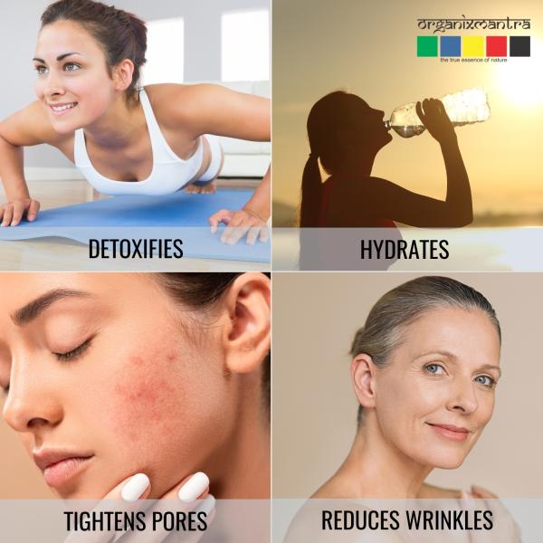 Organix Mantra Vitamin C & Tea Tree Witch Hazel Astringent Skin Toner ...