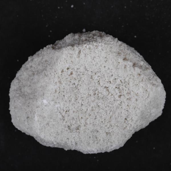 YUVIKA Sajji Safed - Sajji Khar - Papad Khar - Salsola stocksii (200 Grams) - JioMart