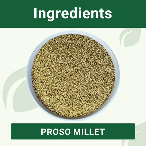 B&B Organics Proso Millet (1 kg) (Whole Grain) (Pani Varagu | Barri ...