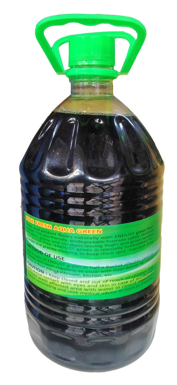 Endust Floor Cleaner - Green 5 L - JioMart