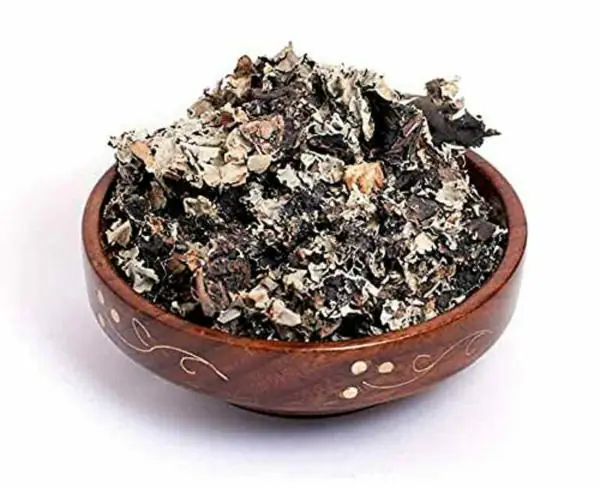 OREE Stone Flower | Dagad Phool | Kalpasi, Patthar Ke Phool | Indian ...