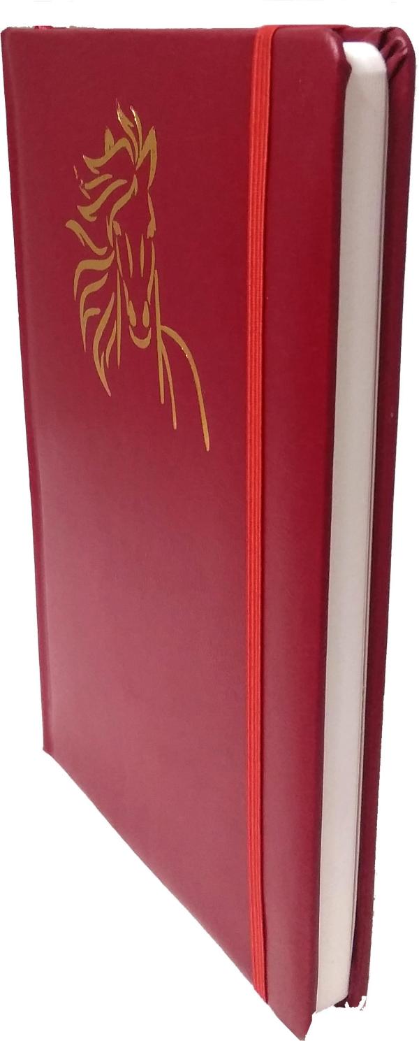 Technochitra Unicorn Embossed Elastic Closure Diary Single - JioMart