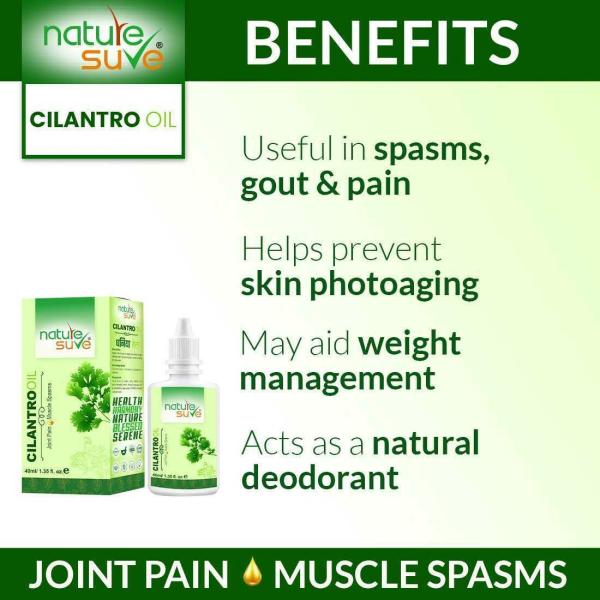 Nature Sure Cilantro Dhania Oil for Joint Pain & Muscle Spasms in Men ...