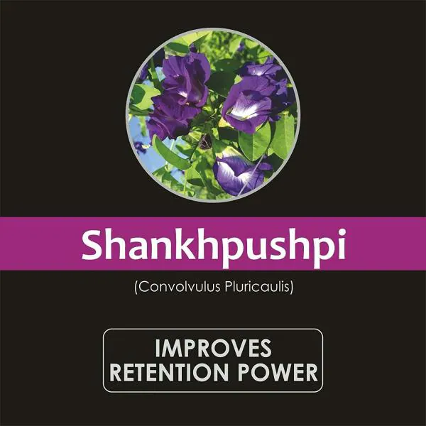 Herb Essential Pure Organic Shankhpushpi Convolvulus Pluricalis Powder ...