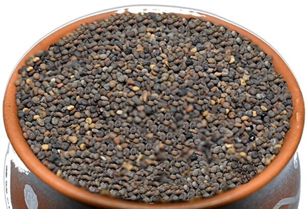 Myor Pahad's Exotic Super Food - Cleome Viscosa Seeds ( Jakhiya ) 100 ...