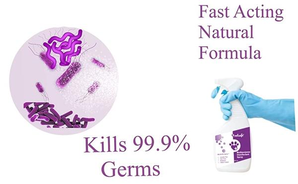 VetSafe Multipurpose Disinfectant Spray for Pets, 500ml - JioMart