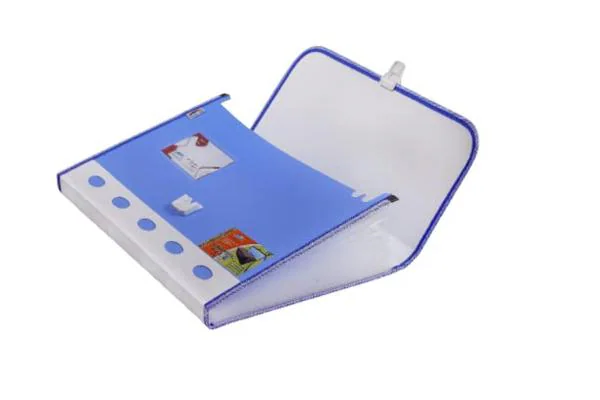 Max Blue File Folder with Thirteen Section Pockets (Pack of 2) - JioMart