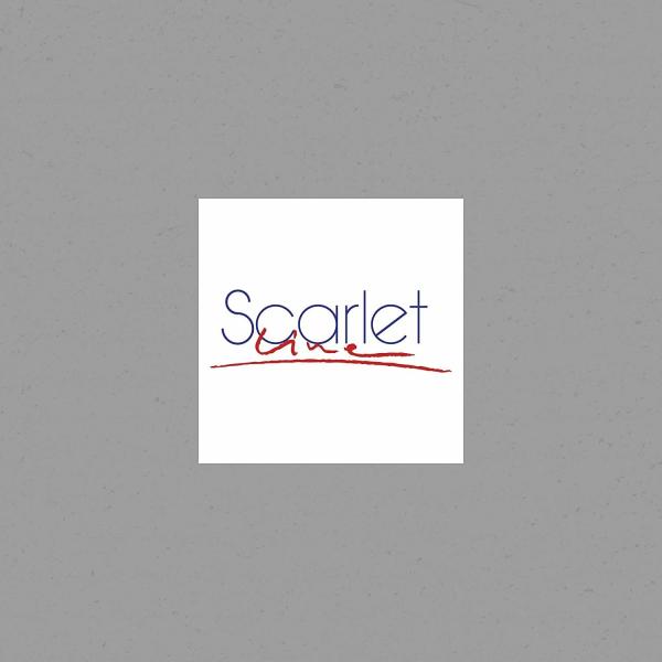 Scarlet Line Professional Matte Finish Back Side Mirror Small Paddle ...