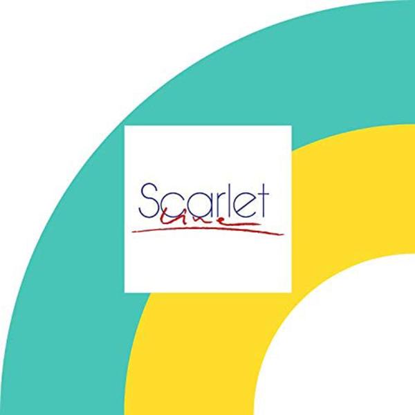 Scarlet Line Professional Matte Finish Back Side Mirror Small Paddle ...