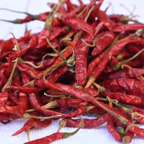 Pure Pik Guntur Teja Red Chilli Whole, Hot And Spicy, Teja Mirchi ...