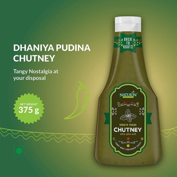 Naturin Dhaniya Pudina Chutney Pack of 2 Tangy Mint Coriander Sauce ...