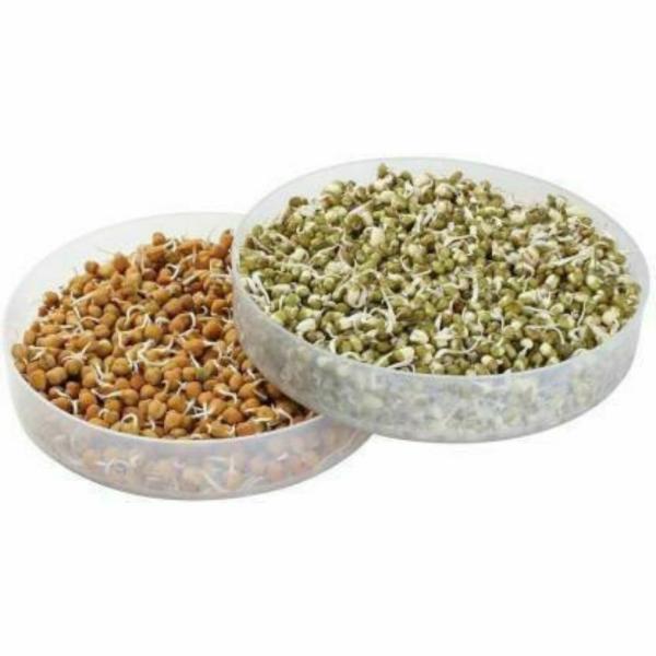 Plastic Sprout Maker - 2 Pieces, Plastic Sprout Maker beans sprout ...