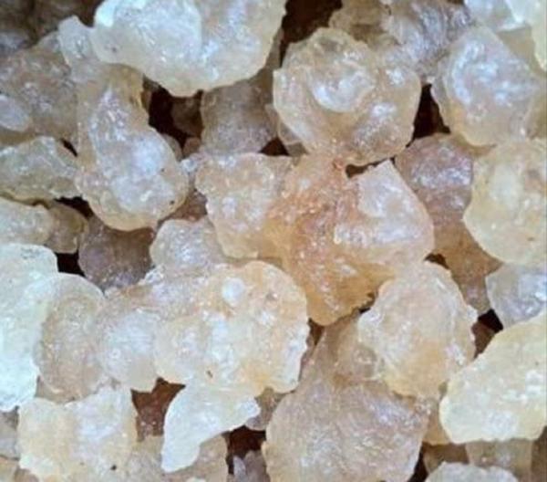 Veganic Gond Special For Laddu | Babool Gound For Ladoo (Edible Gum ...