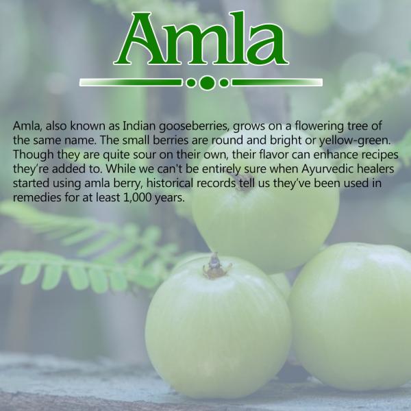 SBS Herbal Amla Hair Powder - 100% Organic For Hair Growth & Damage ...