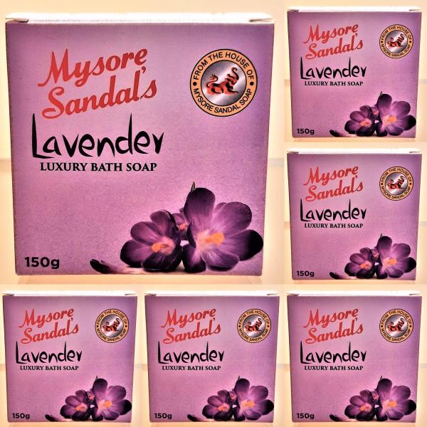 MS Lavender (pack of 6) - JioMart