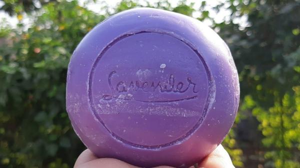 MS Lavender (pack of 6) - JioMart