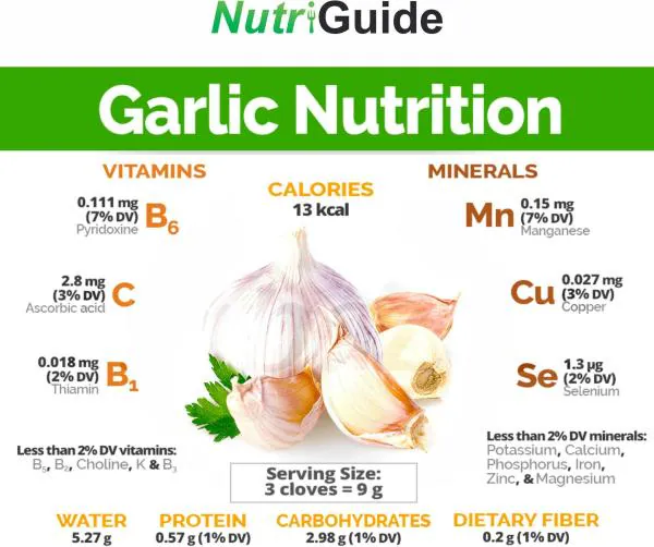 Nutri Guide Garlic Powder Dried 100 g - JioMart
