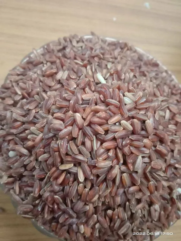 Uzhavan Unavu - Organic Traditional Red Rice / Sigapu Kavuni Rice ...