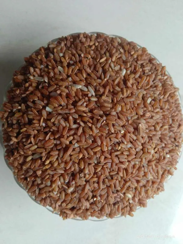 Uzhavan Unavu - Ratha Sali ( Red Rice) 3000 Years Old Rice - 250 Gms ...