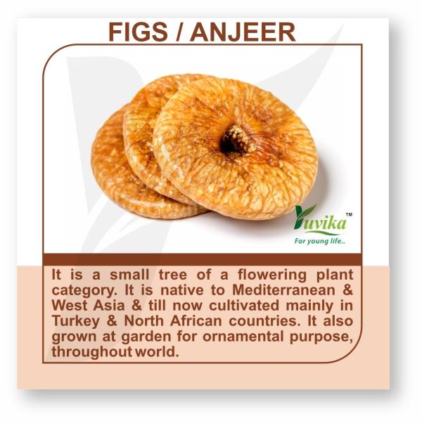 YUVIKA Anjeer Figs No. 1 - Afghanistan Afghani Anjir Dry Fruit (1 Kg ...