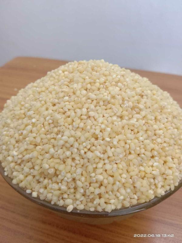 Uzhavan Unavu - Unpolished - Panivaragu / Proso Millet / Barri /Proso ...