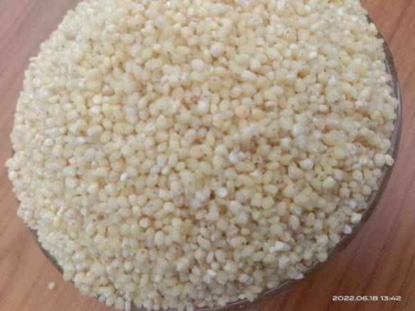 Uzhavan Unavu - Unpolished - Panivaragu / Proso Millet / Barri /Proso ...