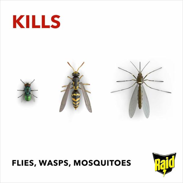 Raid Protector Fly Wasps and Mosquito Killer 300Ml - JioMart