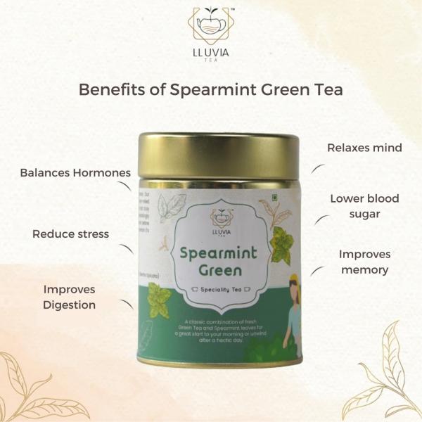 Spearmint Tea for PCOD/PCOS by Lluvia Tea - JioMart