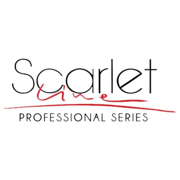 Scarlet Line Professional Square One Sided Large Hand Mirror, Vanity ...