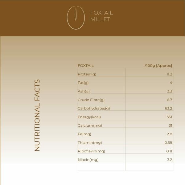 The Millet Company Foxtail Millet Flour 400g - JioMart