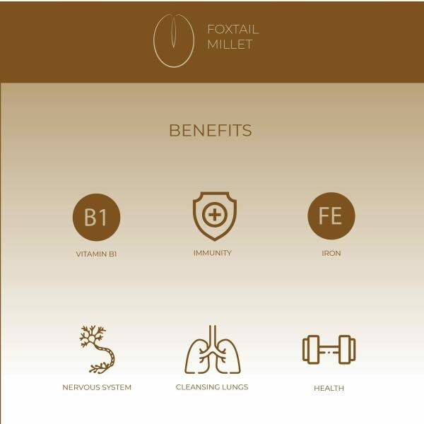 The Millet Company Foxtail Millet Flour 400g - JioMart