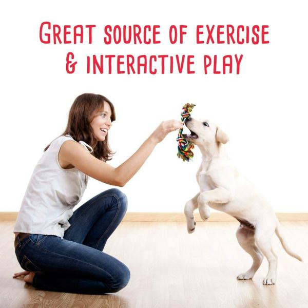 PSK Pet Mart Dogs Knot Chew Rope Toy - JioMart