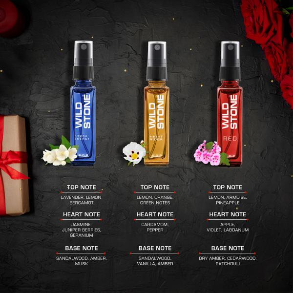 Wild Stone Perfume Valentine Gift Set Pack of 6 (8ml Each) - JioMart