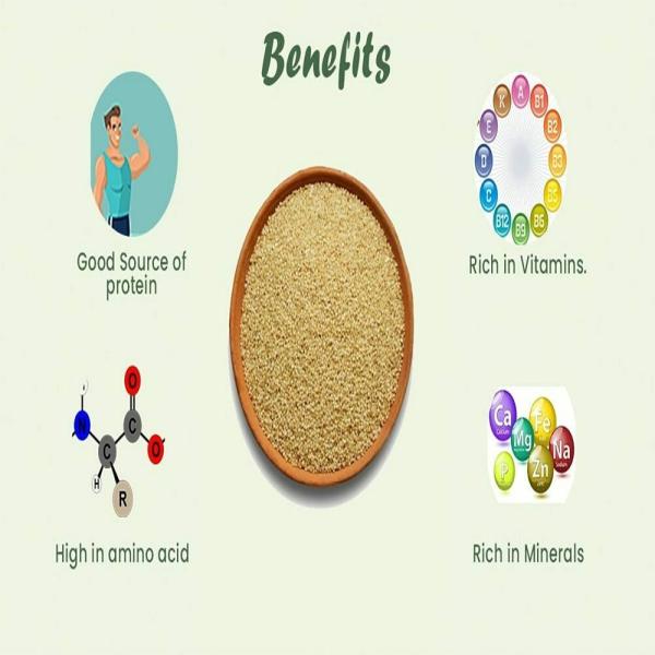 B&B Organics Pearl Millet (2000 g) (Whole Grain) (Kambu | Bajra ...