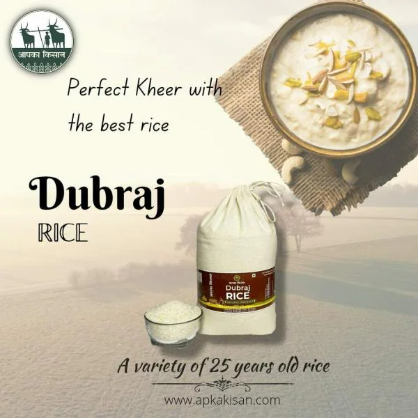 APKA KISAN-GI TAGGED DUBRAJ RICE-2 Kg,Combo of 1kg each|Excellent ...
