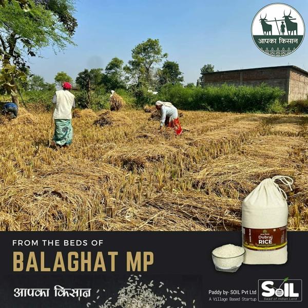 APKA KISAN-GI TAGGED DUBRAJ RICE-2 Kg,Combo of 1kg each|Excellent ...