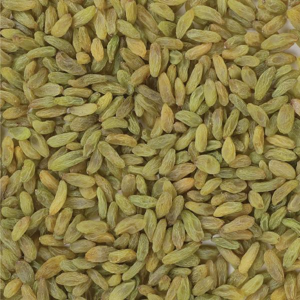 Sindhi Dry Fruits Kandhari Green Raisins, Sund-e-Khani, Hand Sorted ...