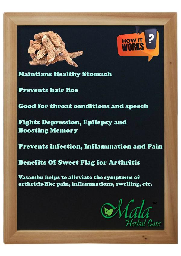 Mala Foods Vasambu Powder, 100 G - JioMart