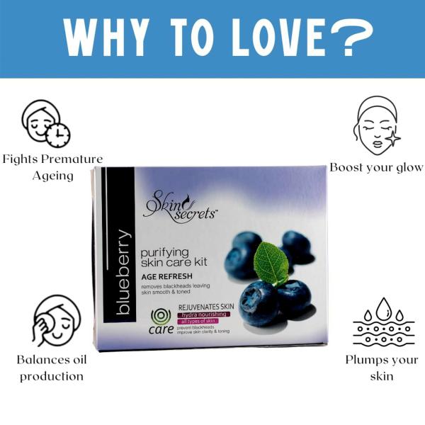 Skin Secrets Blueberry Facial Kit With Blueberry Extract, 410 G (Pack Of 8) - JioMart