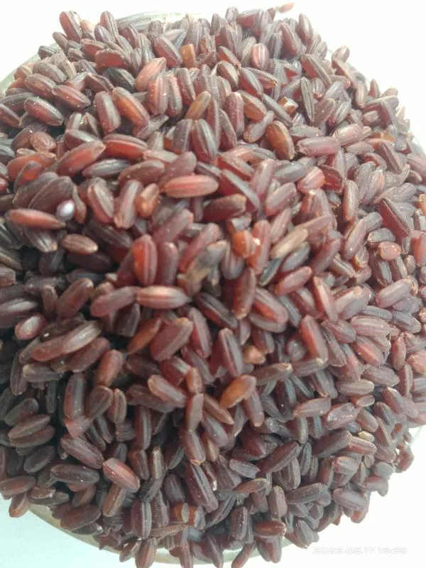 Uzhavan Unavu - Organic Traditional Rice Mapillai Samba / Bridegroom's ...