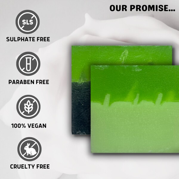 ANTHOM Detoxifying Charcoal Bathing Soap Bar & Moisturizing Aloe Vera ...