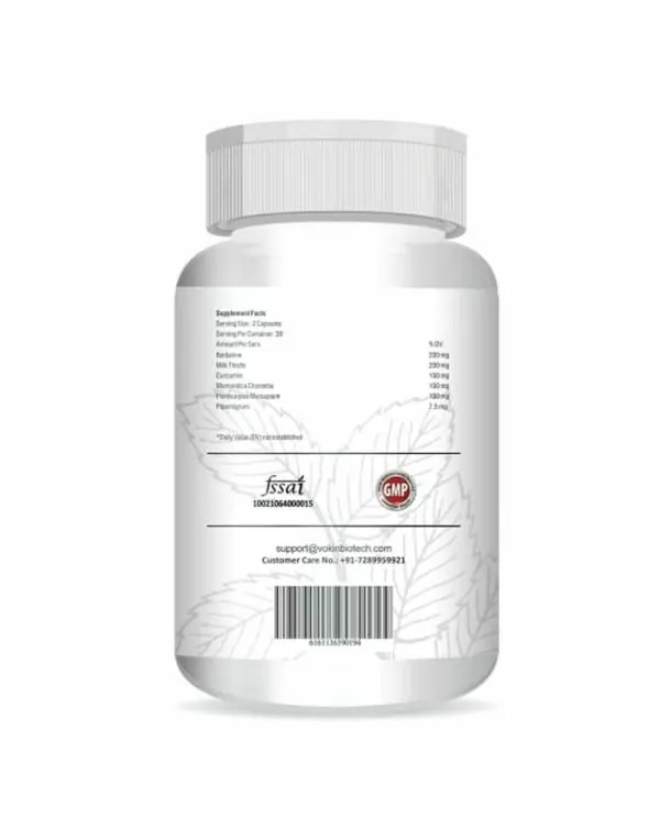 Vokin Biotech Herbal Insulux Plus For Endocrine Health & Diabetes ...