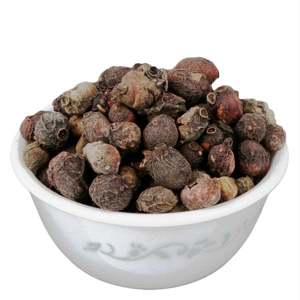 YUVIKA Jamun Guthli - Syzygium Cumini - Eugenia Jambolana Seeds ...