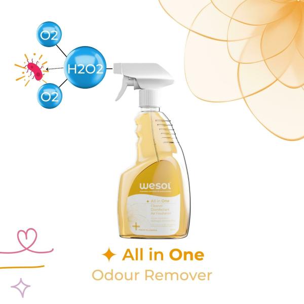 Wesol All in One Pet Area Disinfectant & Odour Remover Air Freshener ...