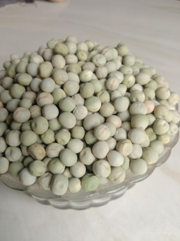 Uzhavan Unavu - Dry Green Peas / Pachai Pattani /haree matar-500 Gms ...
